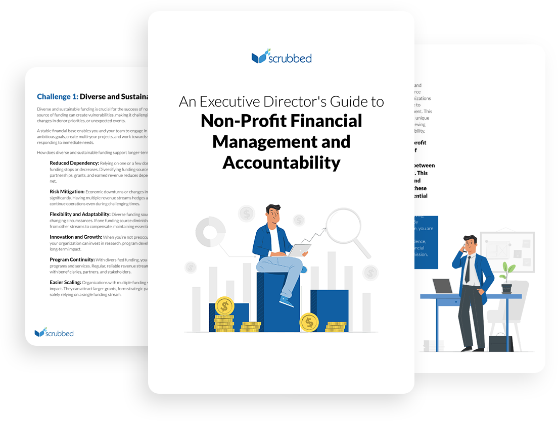 An Executive Director's Guide to Non-Profit Financial Management and ...